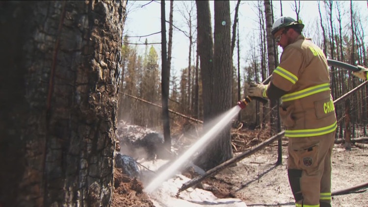 Northern Minnesota wildfires stay consistent despite firefighting attempts