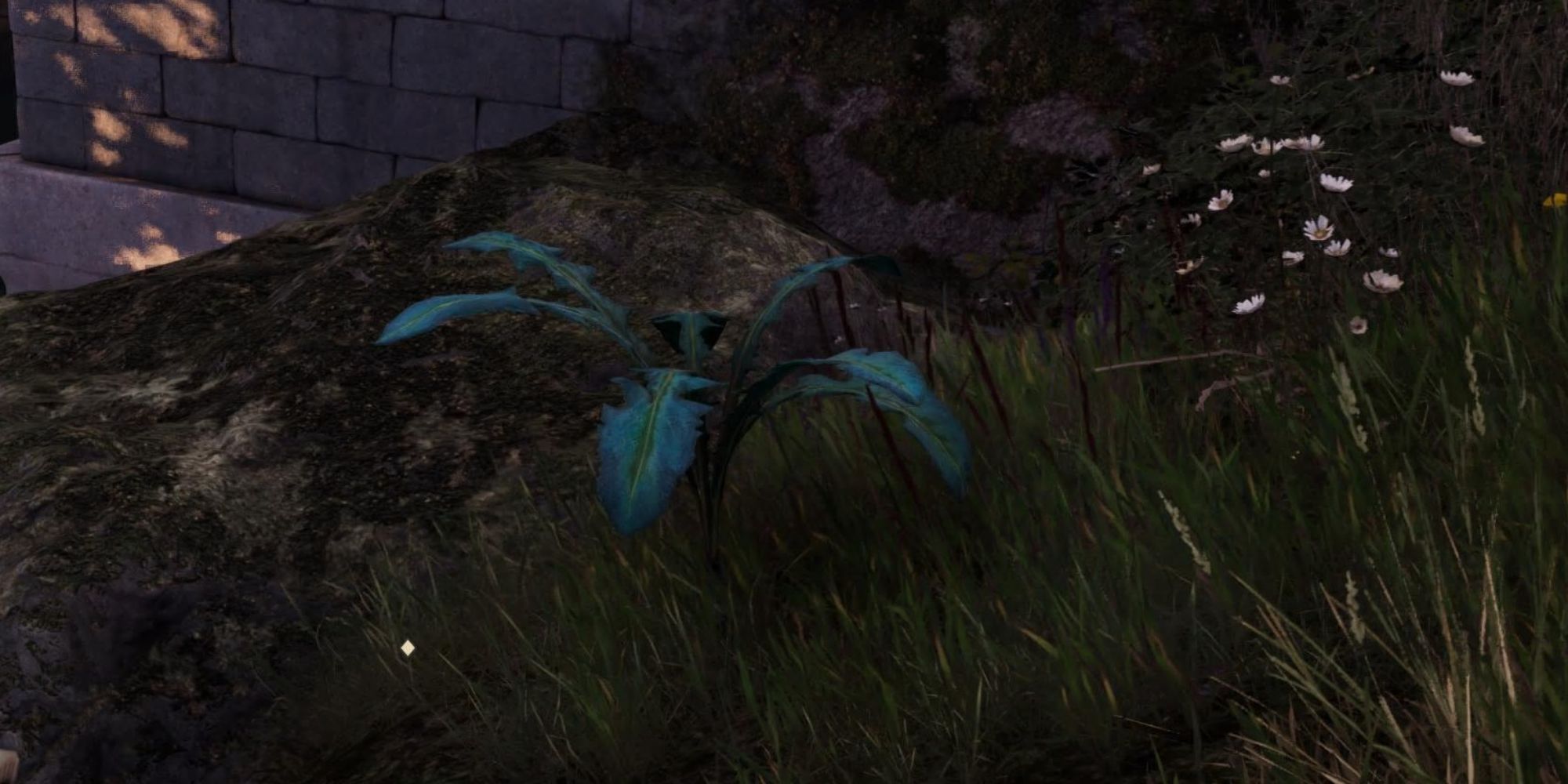 Nirnroot Location in Oblivion Remastered