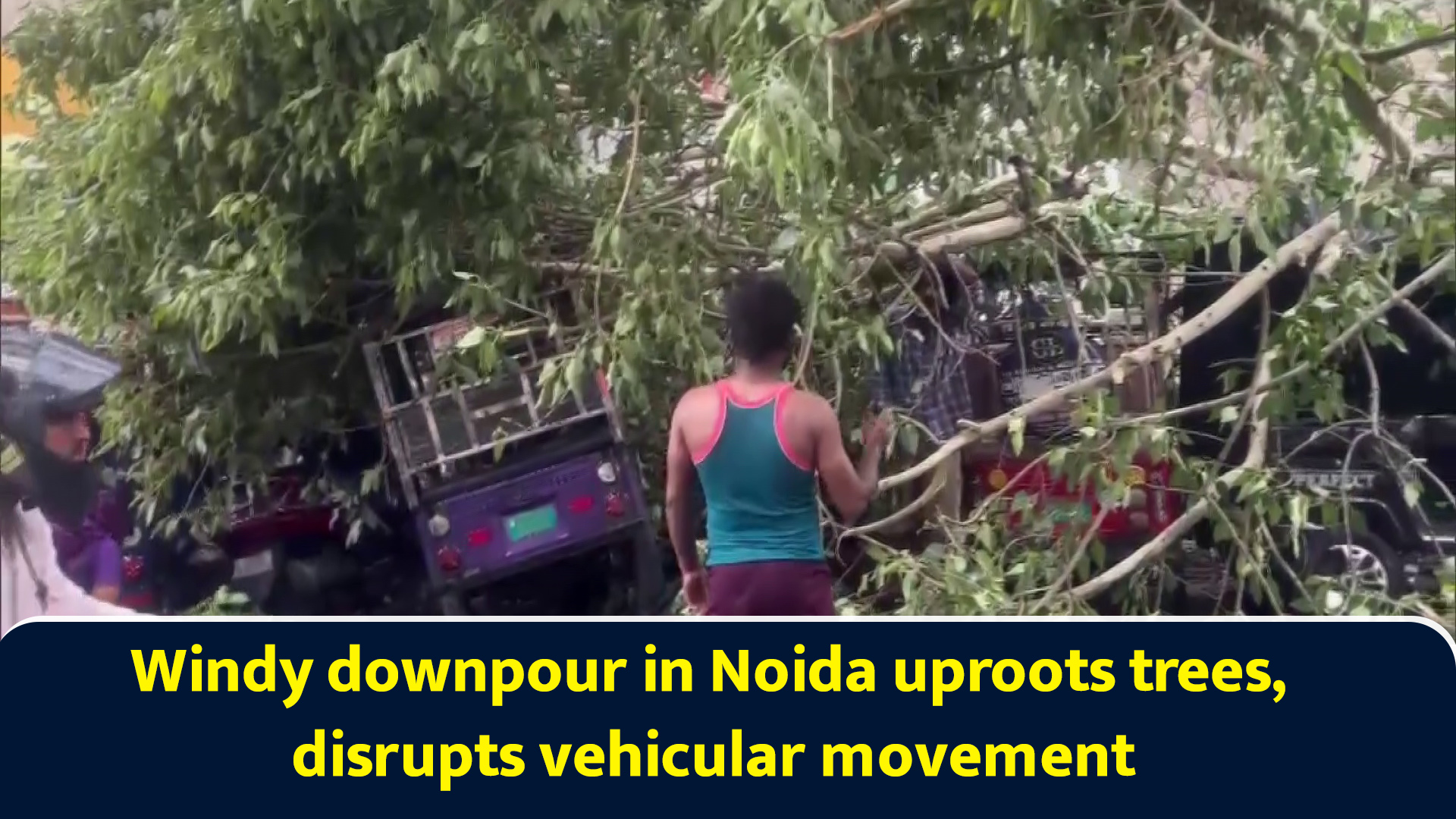 Windy downpour in Noida uproots trees, disrupts vehicular movement