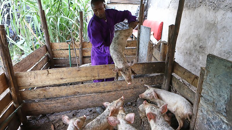 They once lived the 'gangster life.' Now they tackle food insecurity in ...