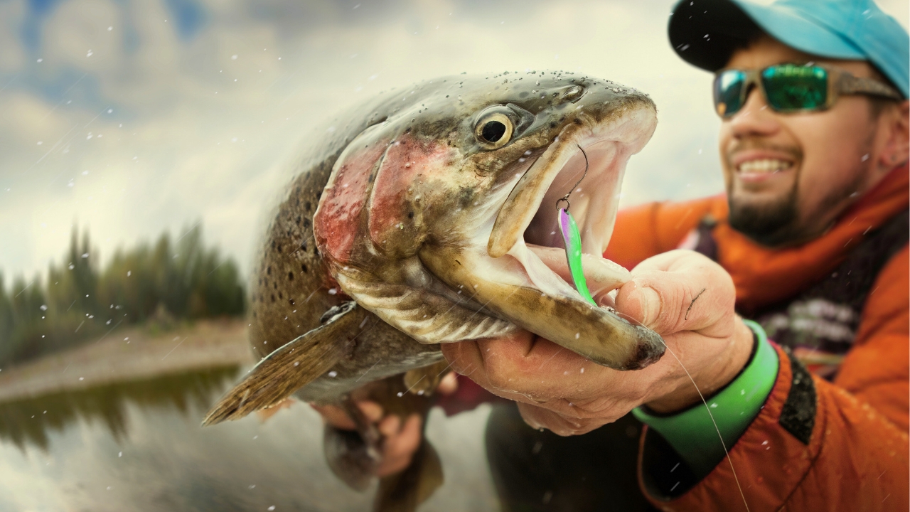 10 Proven Trout Fishing Techniques for Clear Water