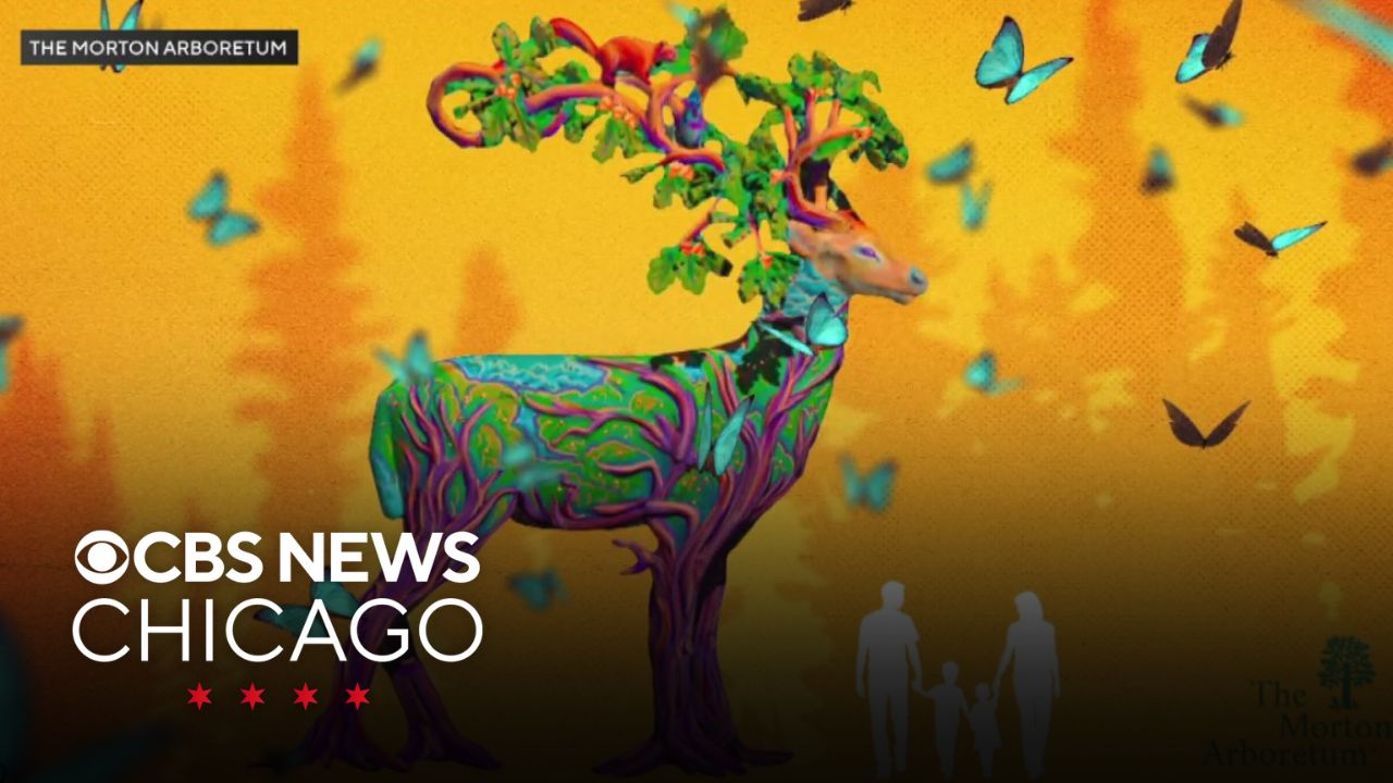 Morton Arboretum opens "Vivid Creatures" exhibit