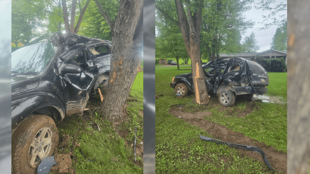Officials searching for driver who 't-boned' tree, fled scene after ...