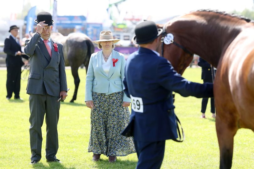 30 of the best photographs from the 2025 Balmoral Show