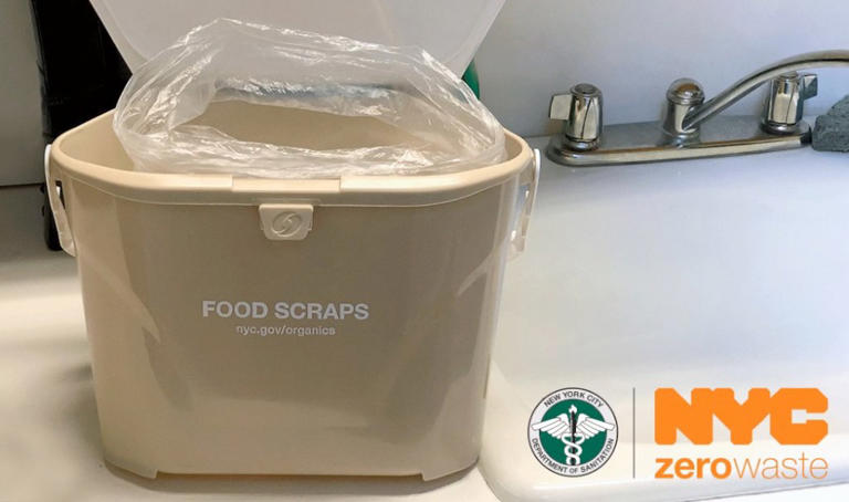 NYC pol trashes city for pushing ‘disgusting’ compost pails: ‘Use them ...