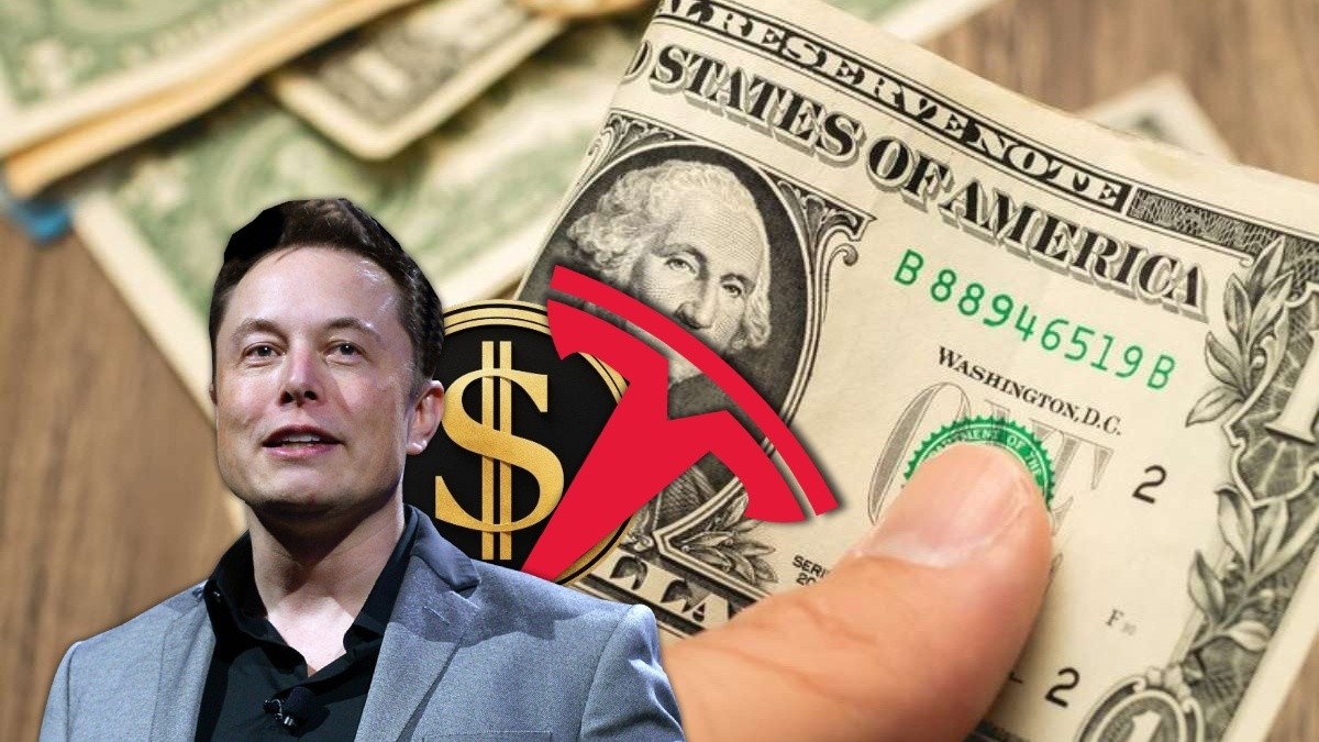 DOGE stimulus check would continue after Musk's departure