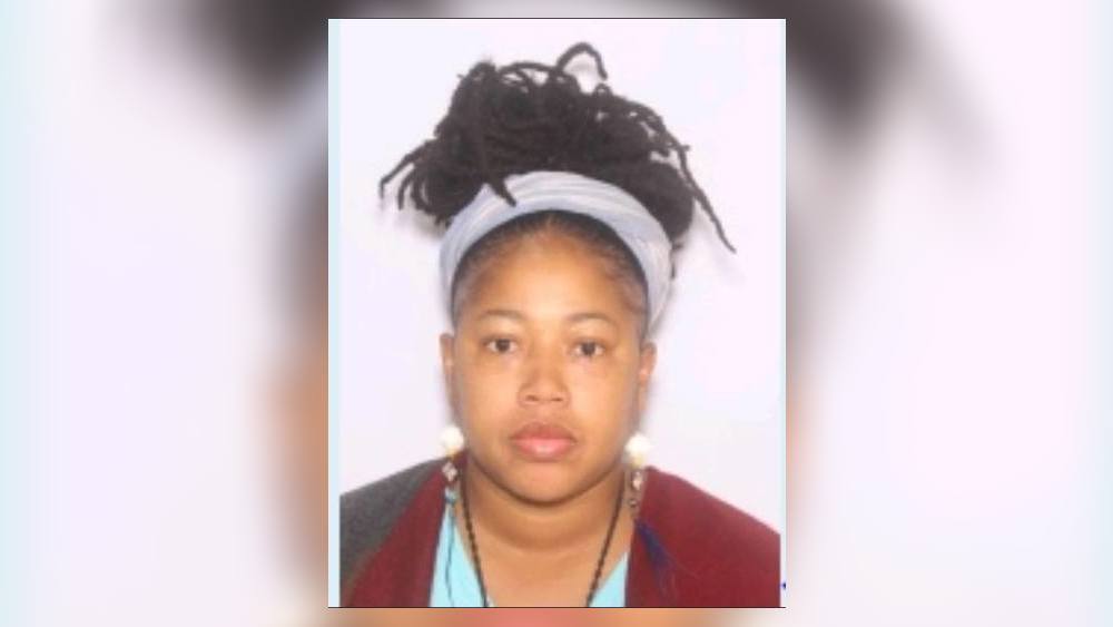 Missing boys found safe in Florida, woman facing charges