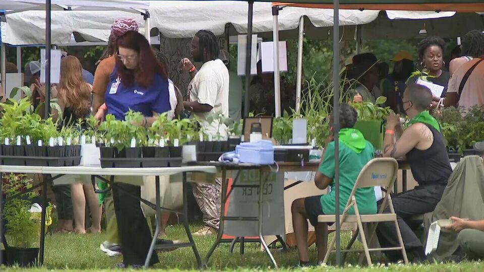 Soil festival attendees learn about composting, gardening, beekeeping ...