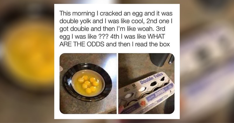 25+ Egg Memes Served Scrambled, Poached, or Sunny Side Up