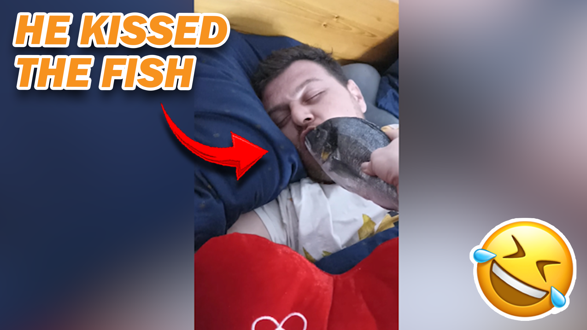 20 stupid movies that are actually genius