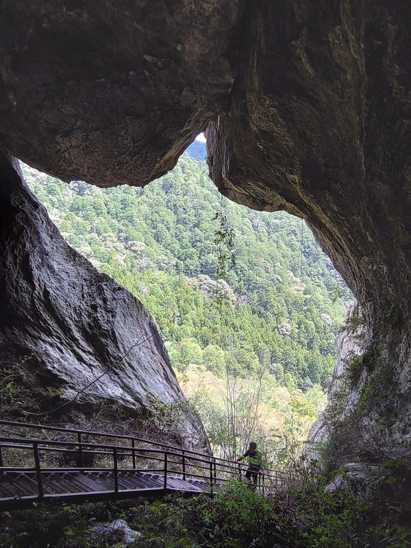 Cave mouth in Japan's Aichi Prefecture resembles giant cat, reminiscent ...