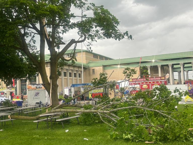 Festivals cancelled after winds tear through events, trees and tents ...