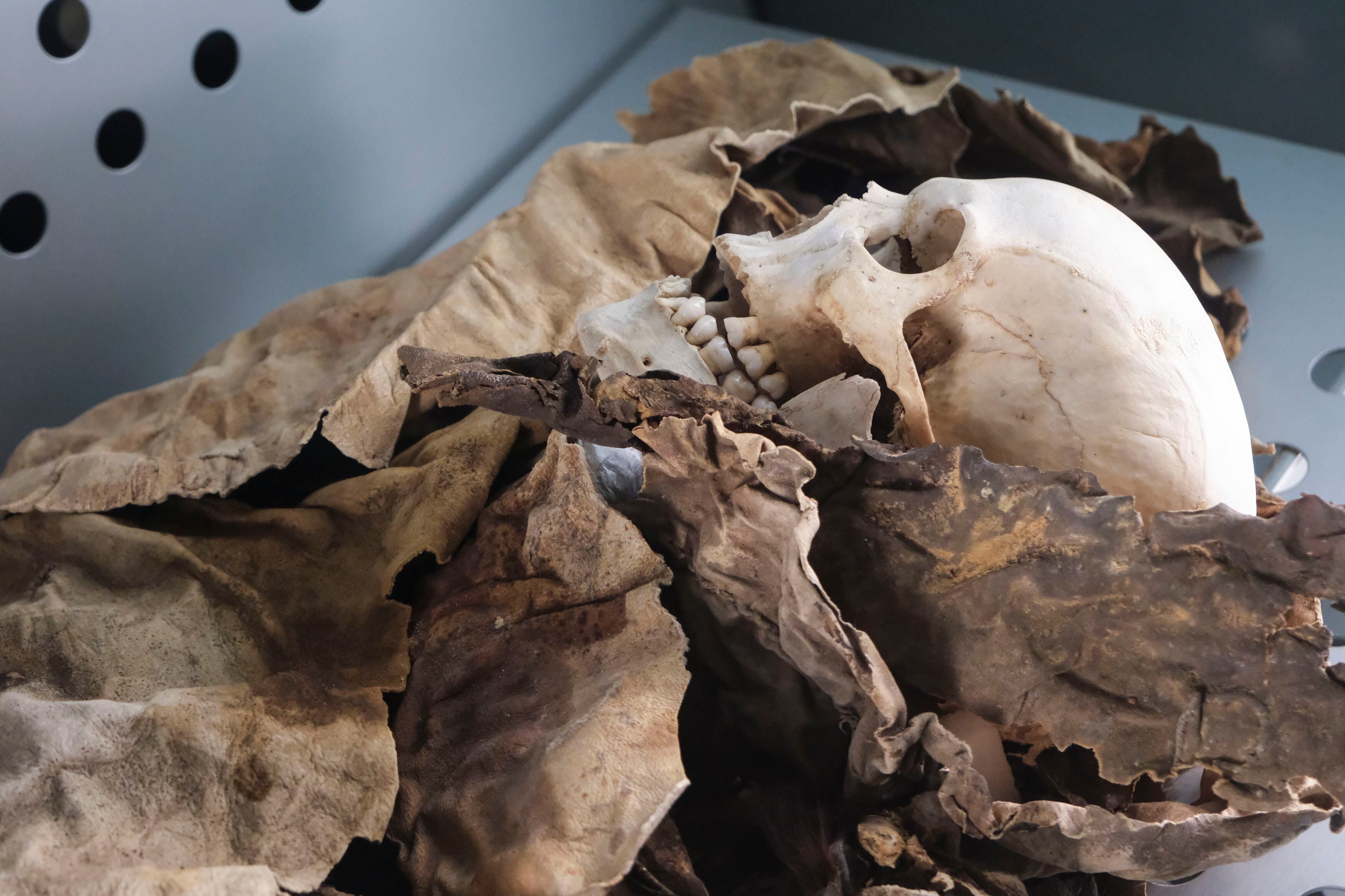 Descubren una tumba de 4.600 años que podría reescribir la cronología ...