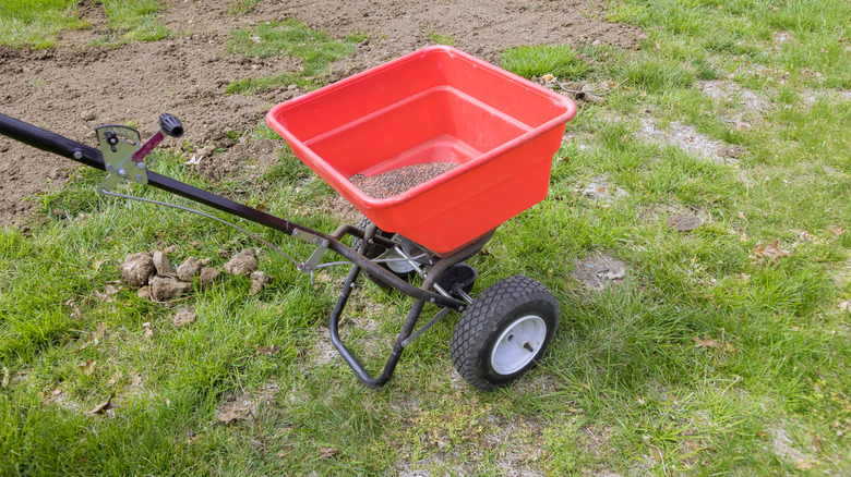 Downsides That May Make You Reconsider Planting Grass Seed In The Spring