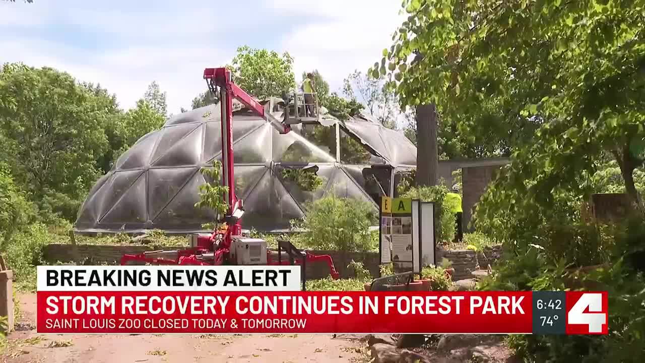 Massive trees toppled, millions in damage reported across Forest Park ...