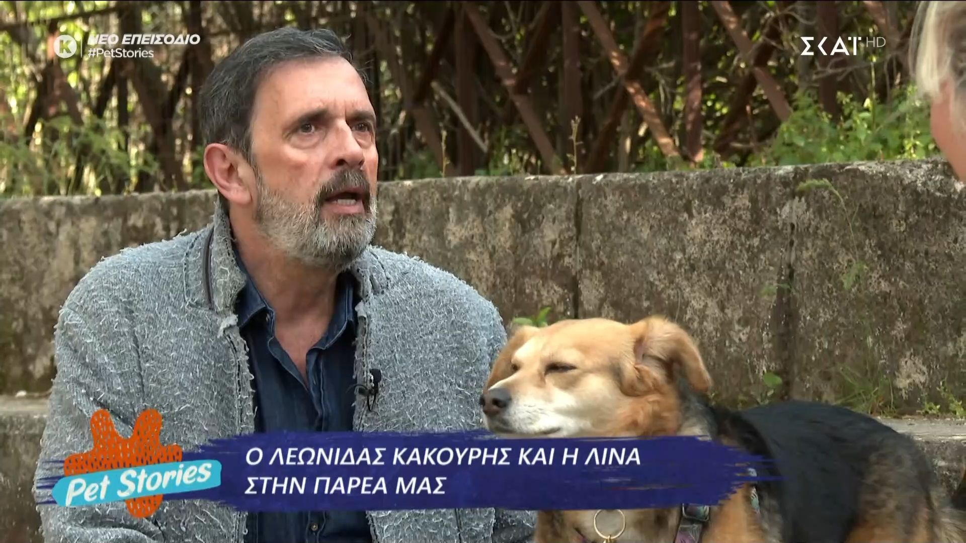 Λ. Κακούρης: «Για κάποιο λόγο τα αυτοκίνητα δεν αποτελούν κίνδυνο για ...