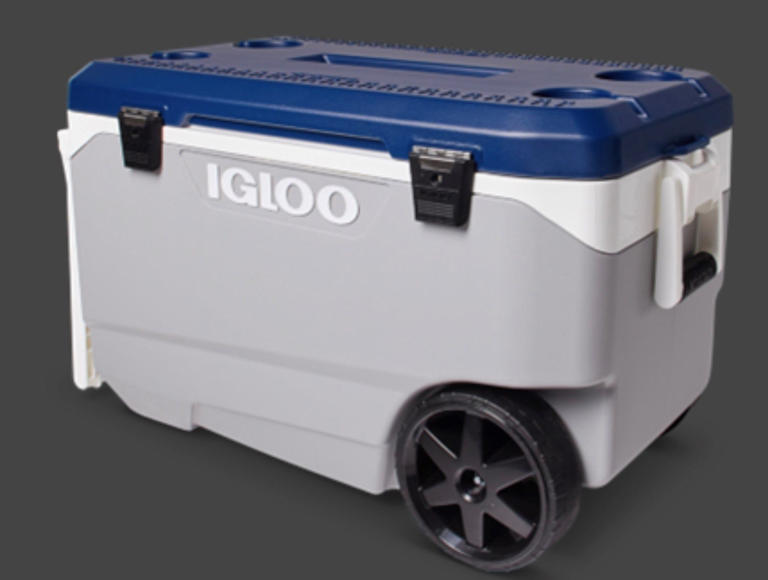 Recall of Igloo coolers with risk of amputating fingertips expanded ...
