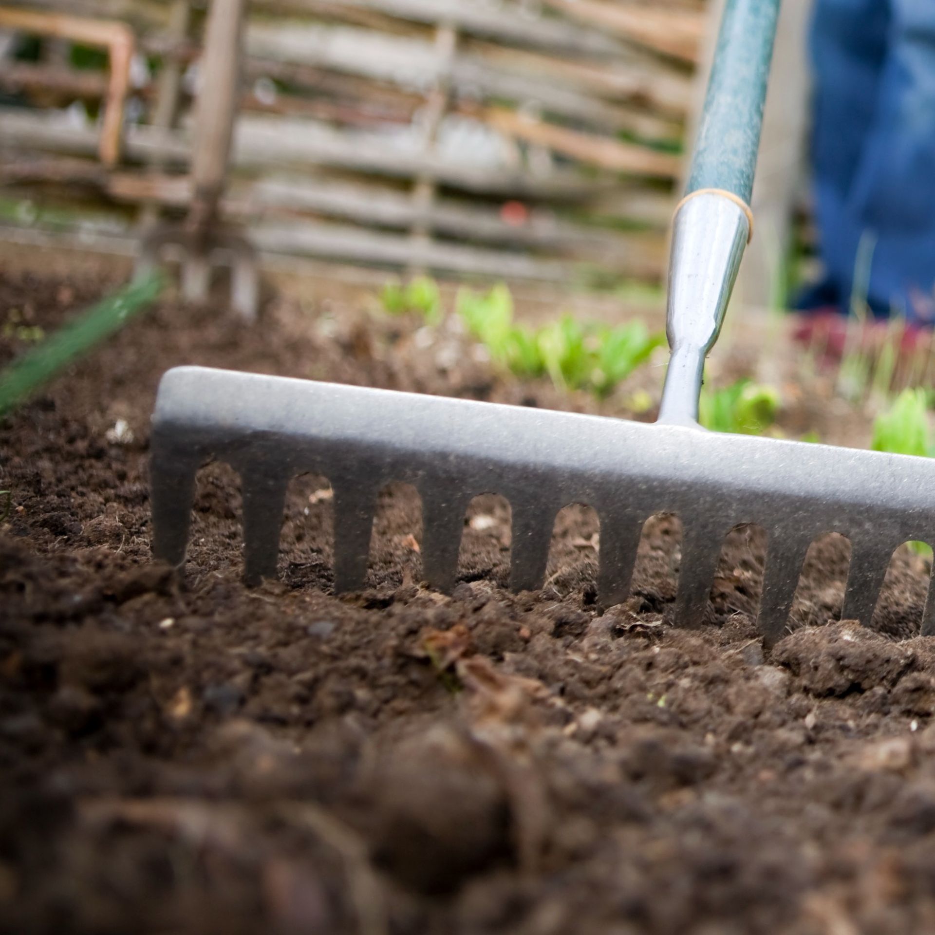 Is your soil too acidic or too alkaline? Experts share the best way to ...