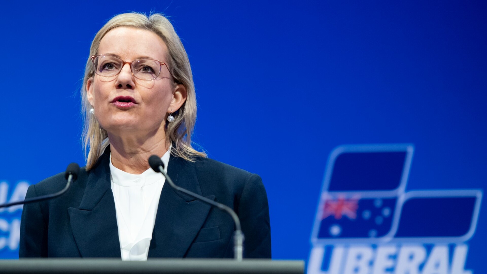 ‘Multiple fronts’ in which Liberal Party needs to ‘lift its game’