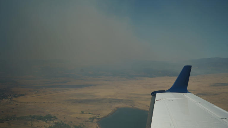 Greer Fire: What to know about Arizona wildfire as it spreads to over ...