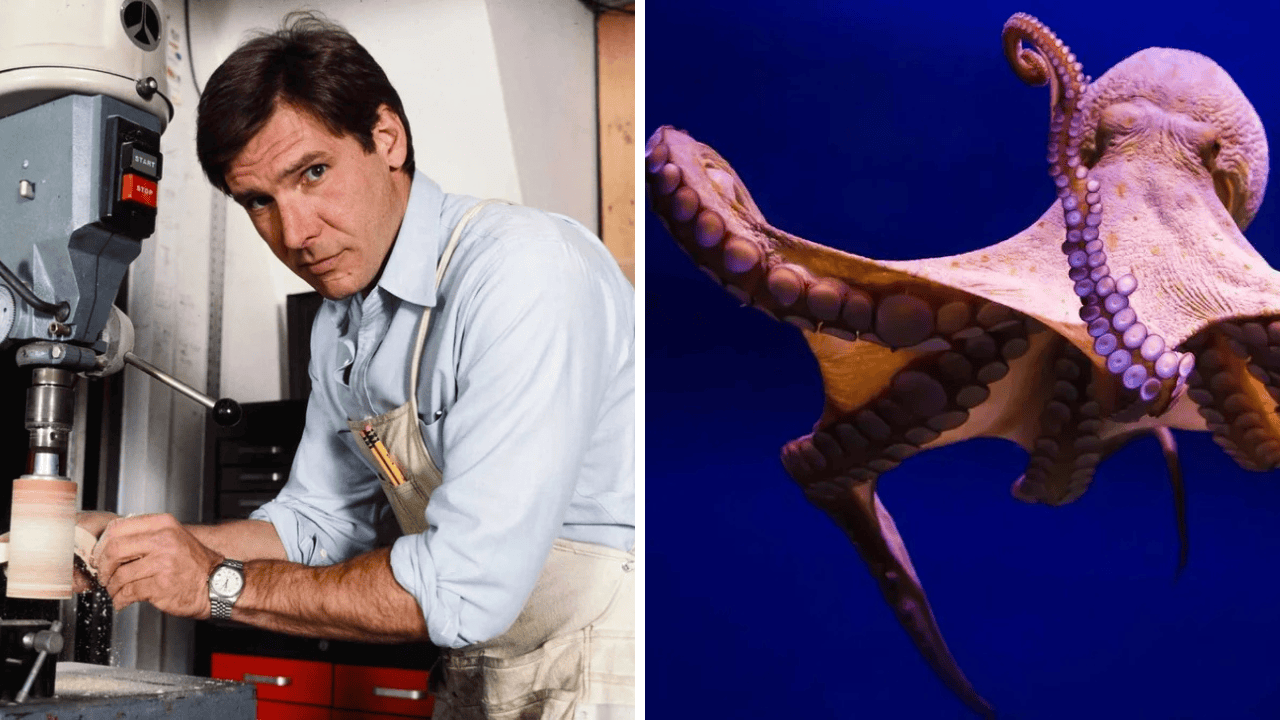 21 Fun Facts That No One Asked For