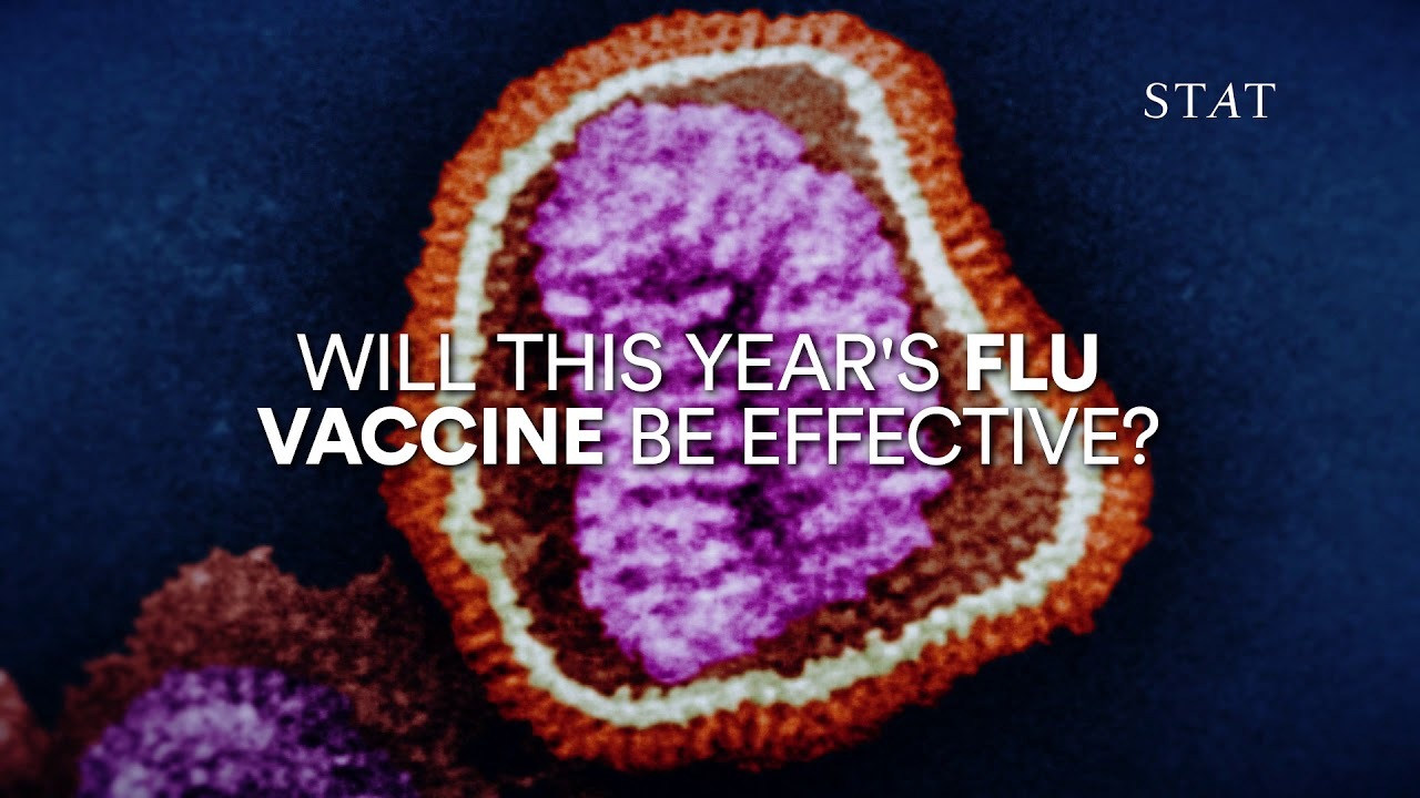 Will this be a miserable flu season?