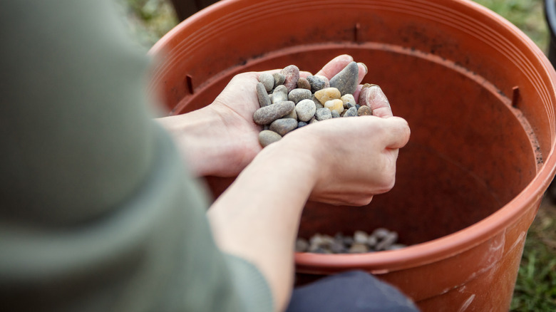 Why Rocks And Gravel Are The Perfect Choice For Your Yard's Drainage