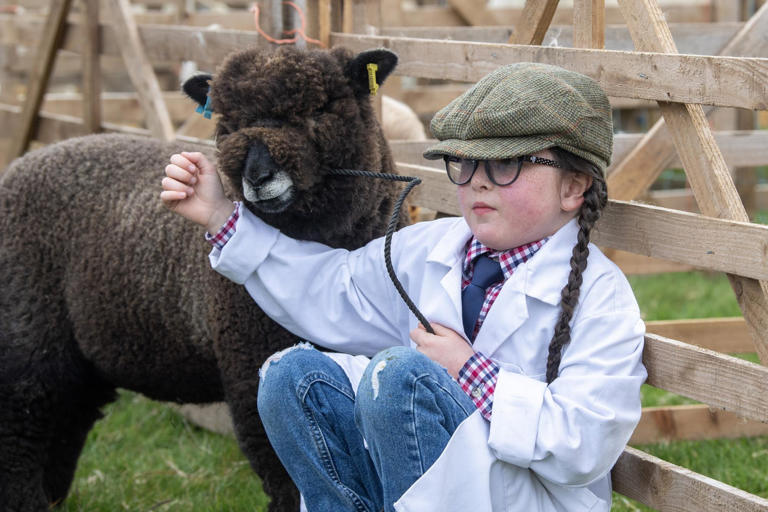Otley Show 2025: Best pictures from the oldest one-day agricultural ...