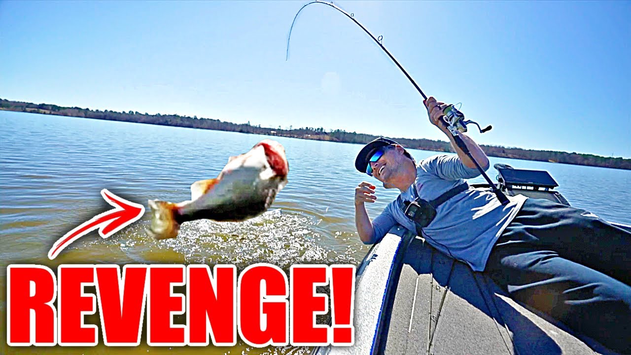 Biggest bass hooked in history arrives on live scope