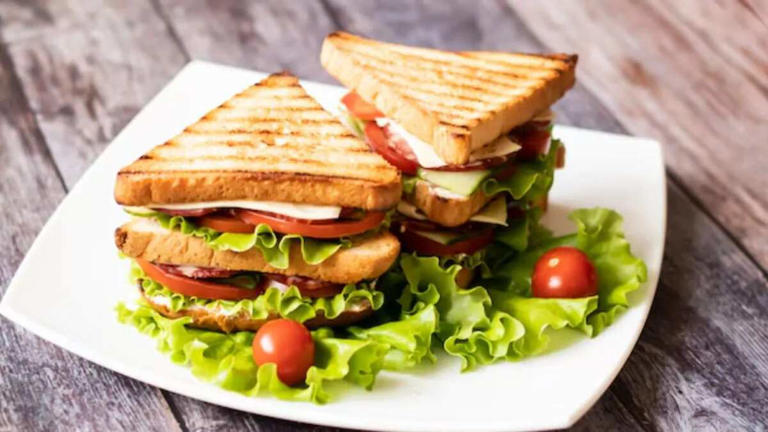 Fun And Safe Sandwich Maker Recipes For Little Chefs