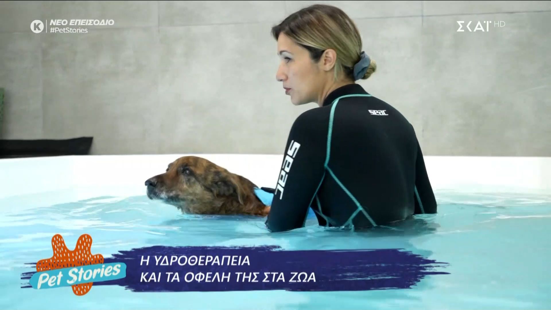 Η υδροθεραπεία και τα οφέλη της στα ζώα