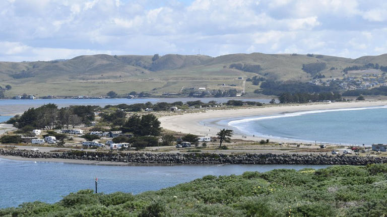 One Of The Sonoma Coast's Best Spots Is A Sandy California Beach With ...