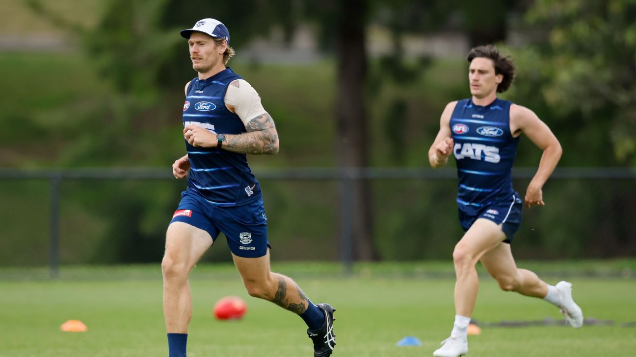 AFL Round 9: Fixture, teams, news, tips, odds - everything you need to ...