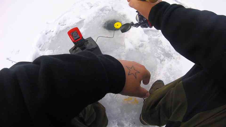 How to Catch Bluegill and Slab Crappie through the Ice!! (Surprise Catch)