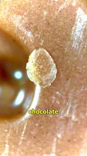 MrBeast Chocolate Examined Under the Microscope