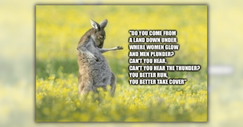 24 Adventurous Animal Memes Daring to Uplift Your Mellow Monday Mood