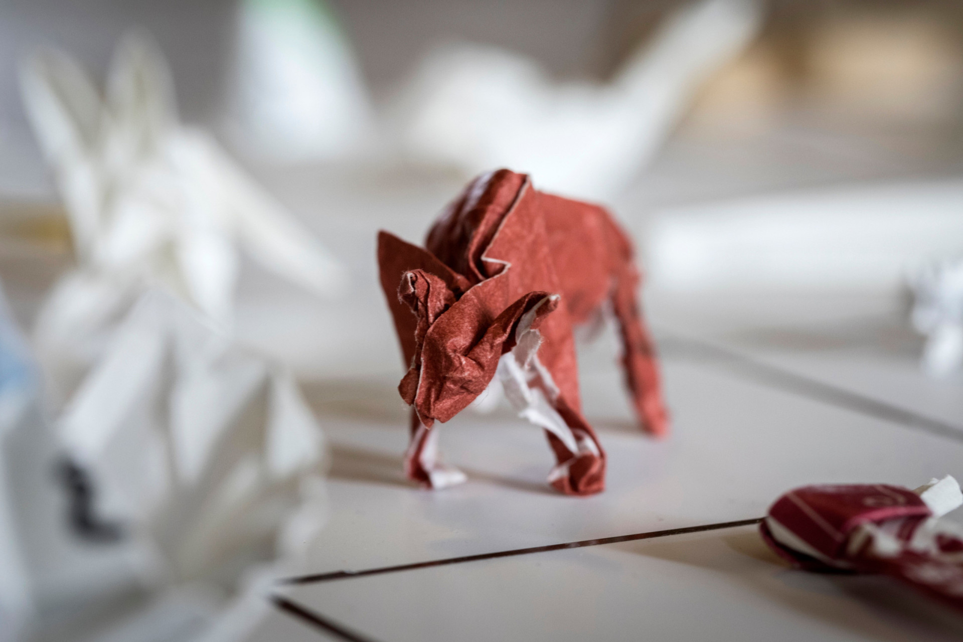 Discover origami, the ancient art of paper folding