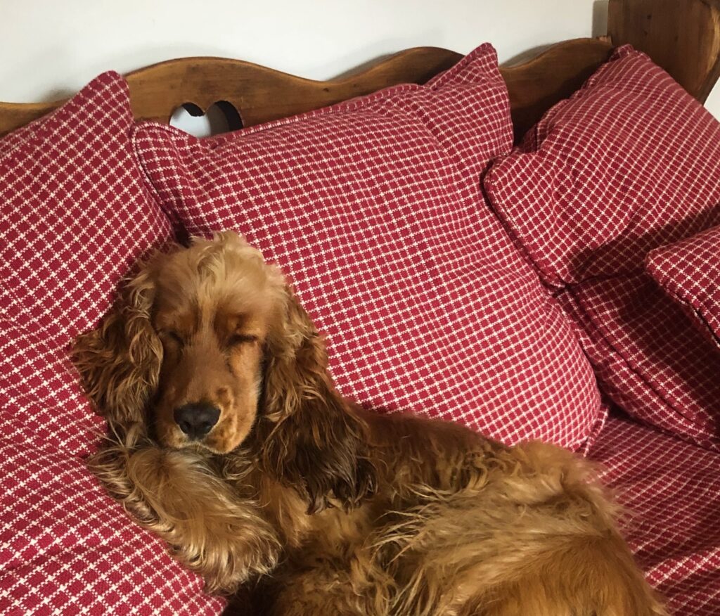 This Is What’s Missing From Your Bedtime Routine (And Why You’re Still ...