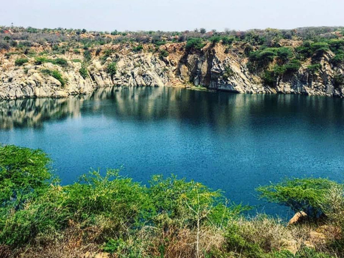 Exploring The 7 Mystical Forests Surrounding Delhi NCR