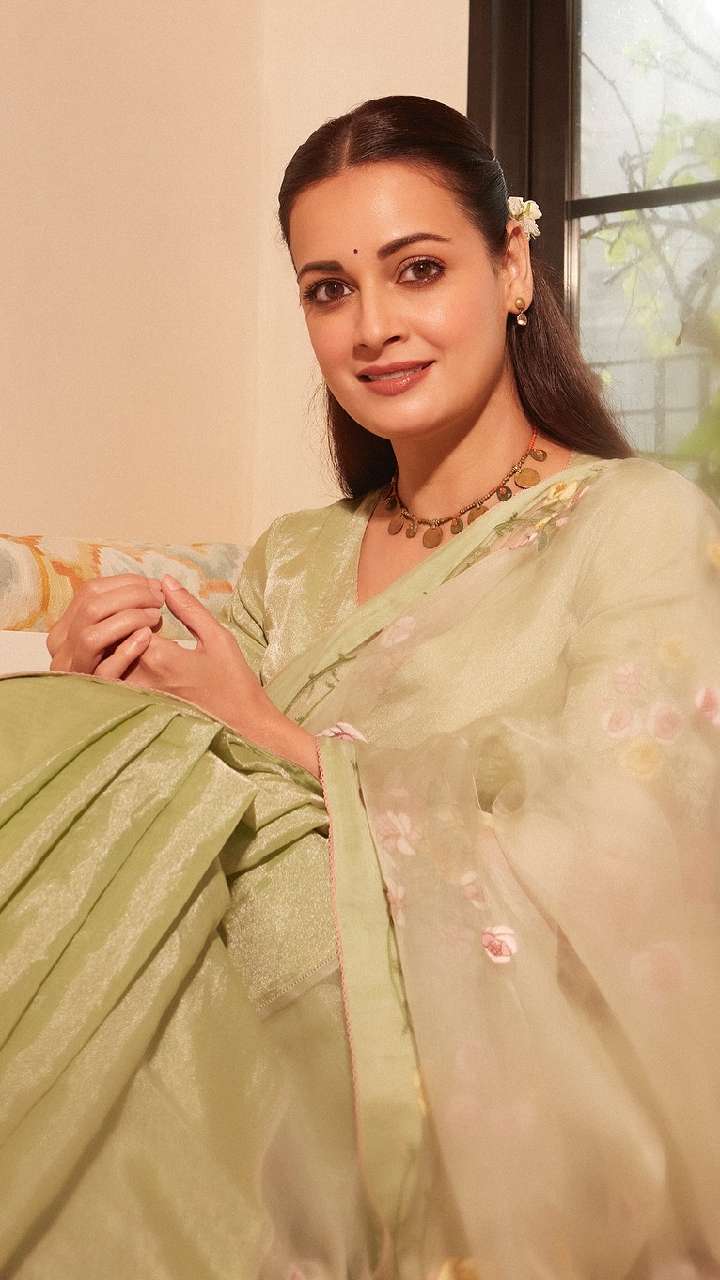 Dia Mirza's Classic Saree Collection For Young Teachers