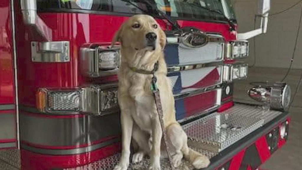 North Texas fire department offering $2,500 reward to help find missing ...