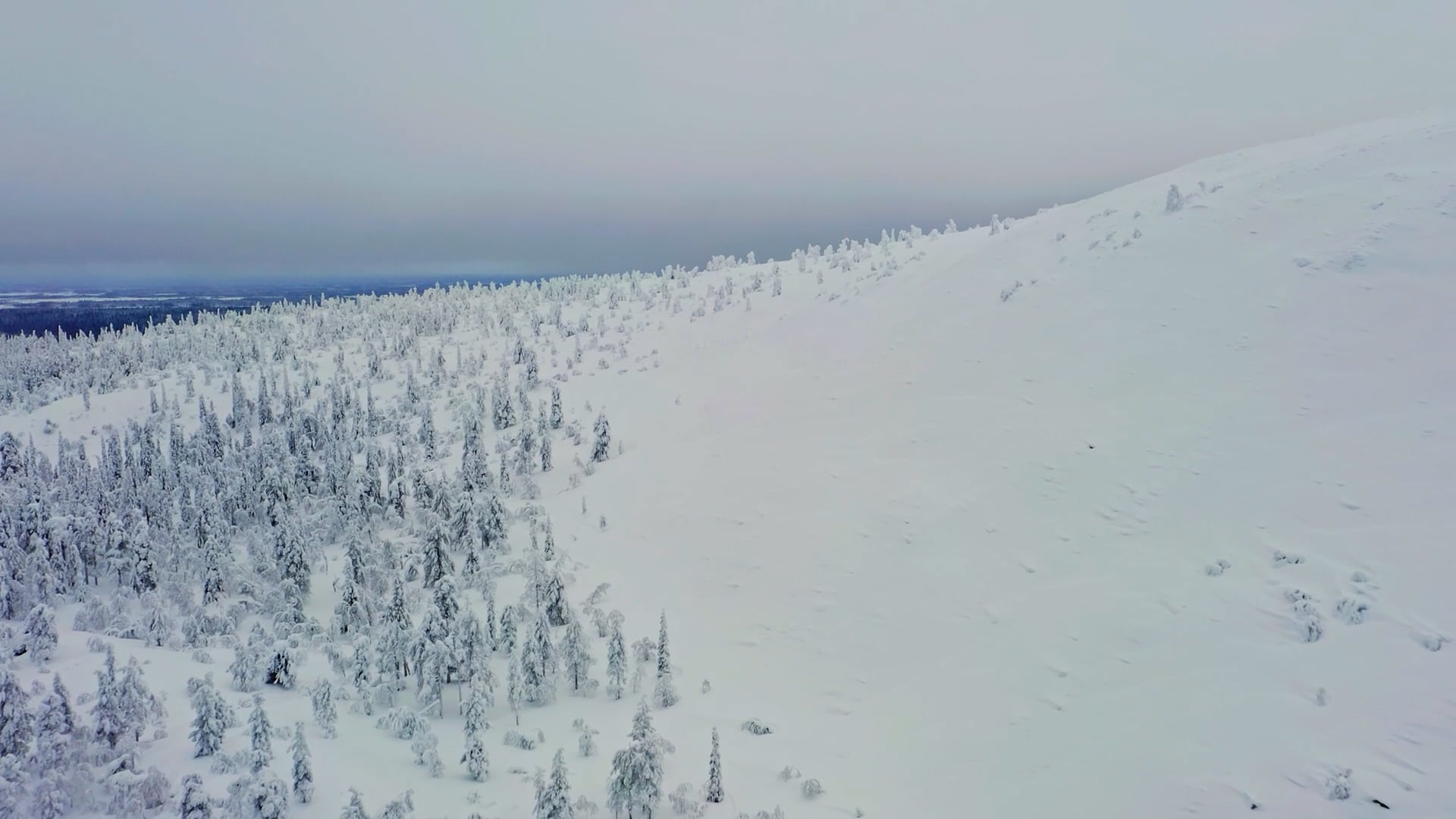Tajga shora: Pohledy z dronu na největší biom světa