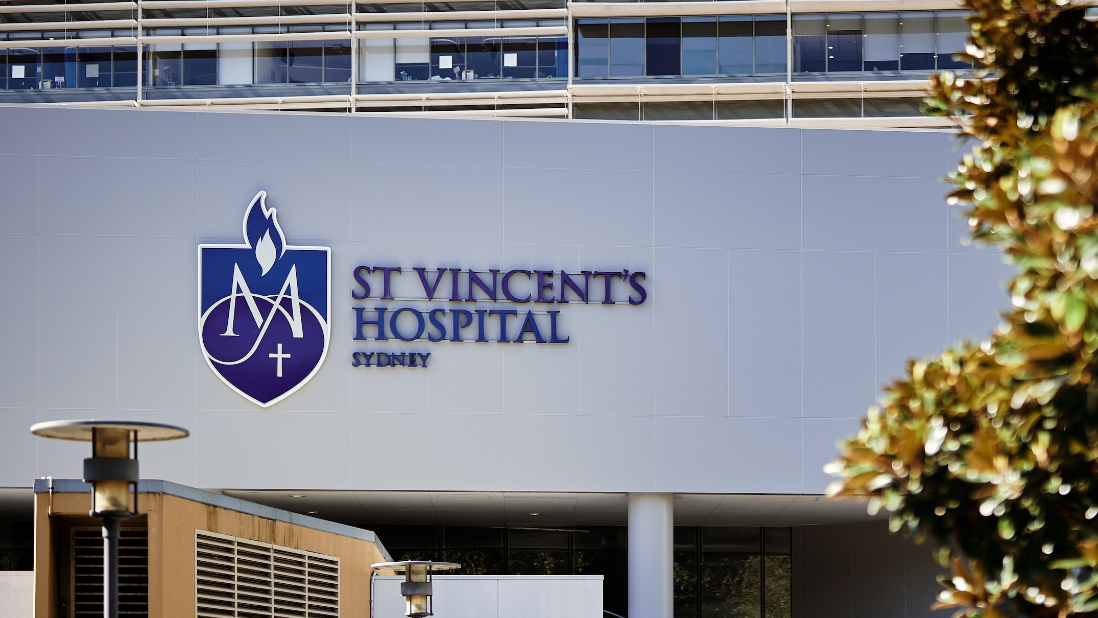 St Vincent's Hospital review finds cancer genetics specialist Allan ...