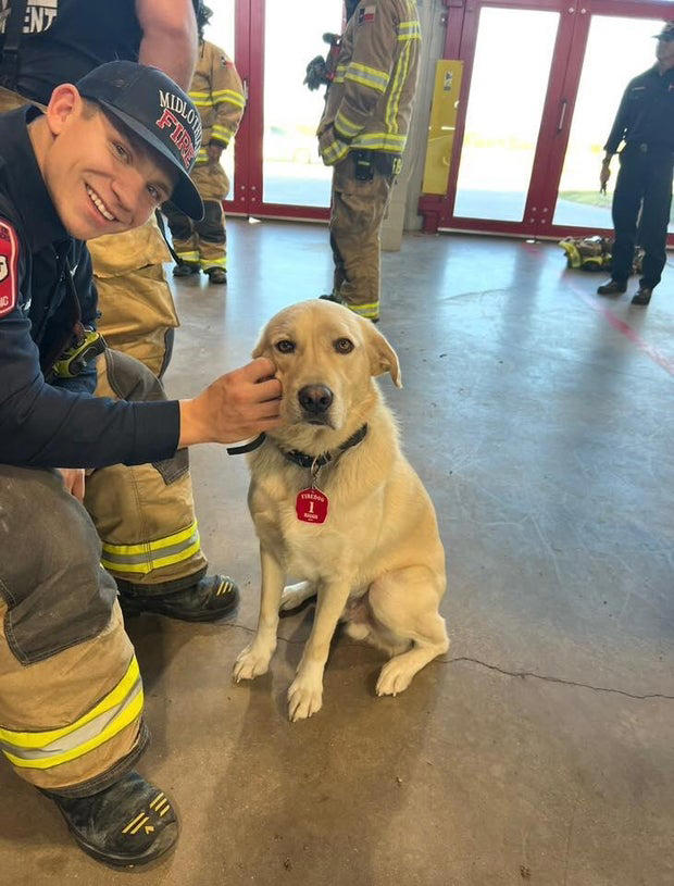 North Texas fire department offering $2,500 reward to help find missing ...