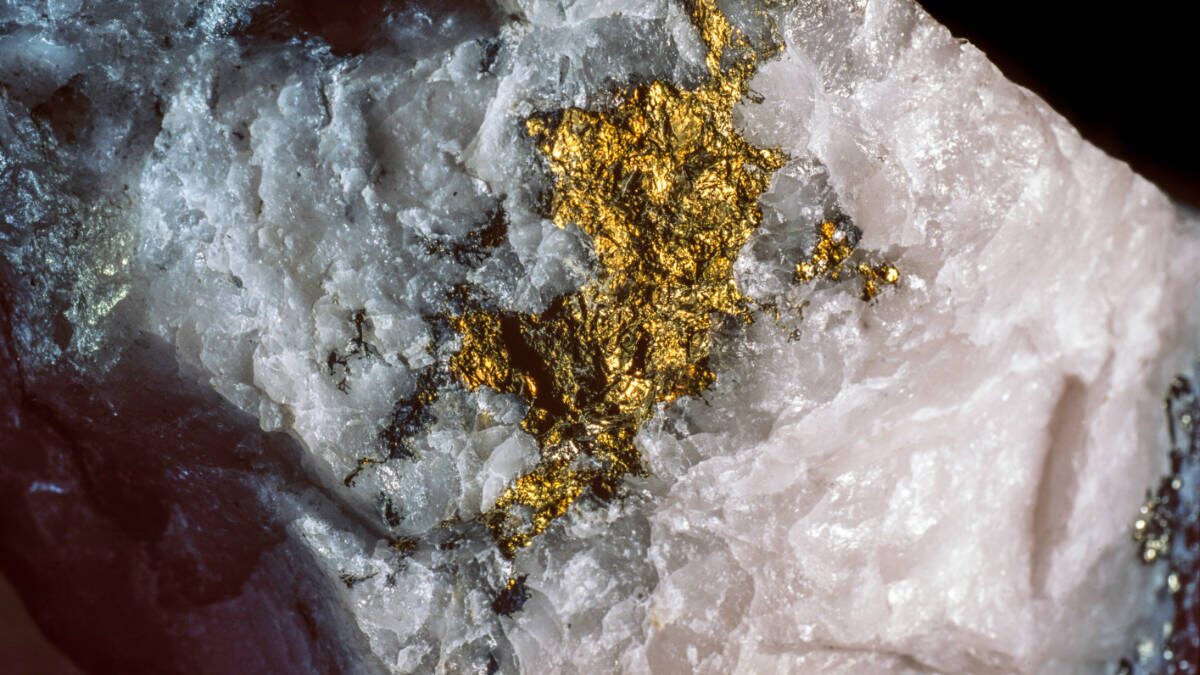 Redcastle’s gold assays boost early cashflow potential