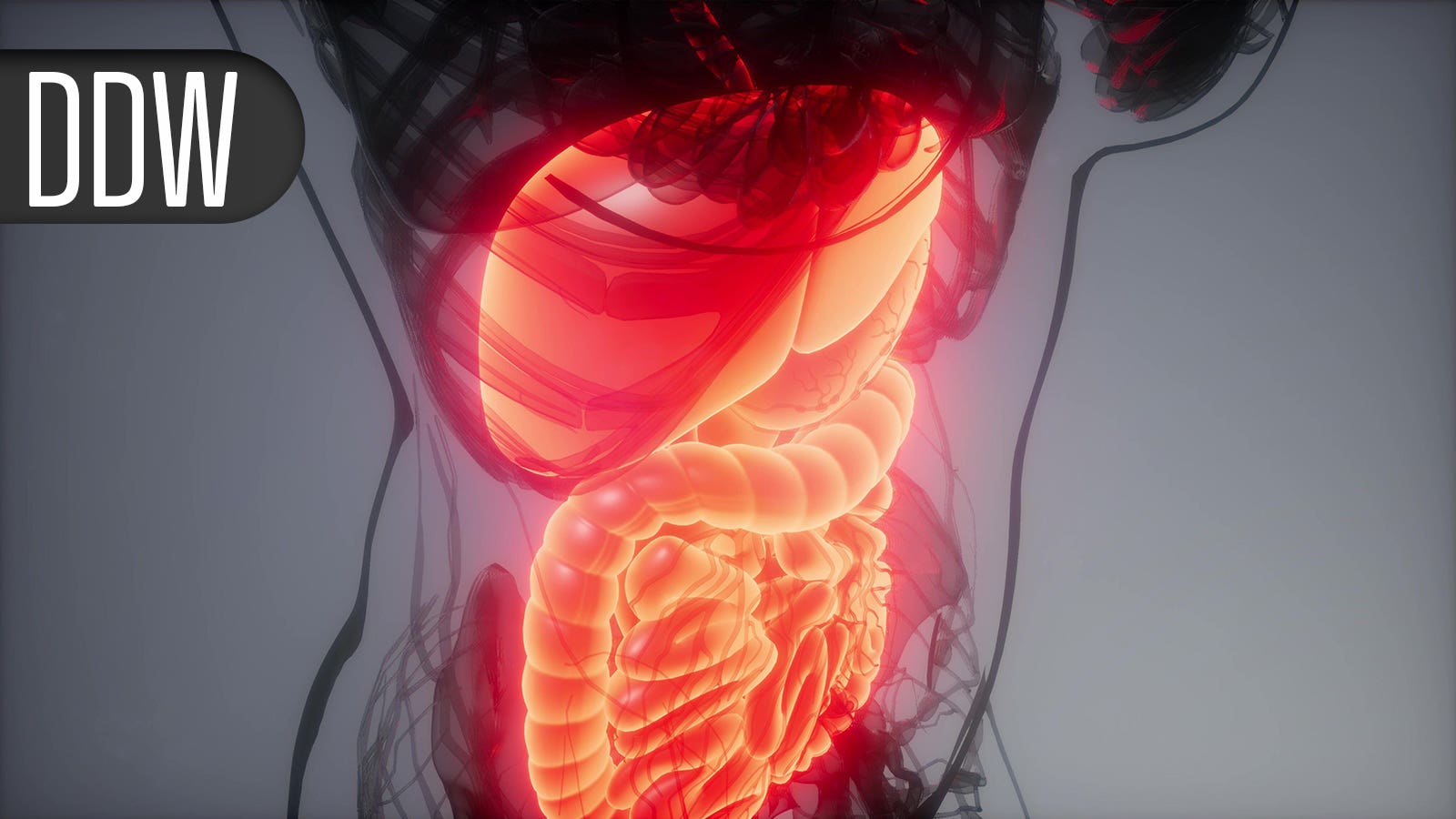 Fecal Therapy Via Colonoscopy Found Safe and Effective for Recurrent C ...