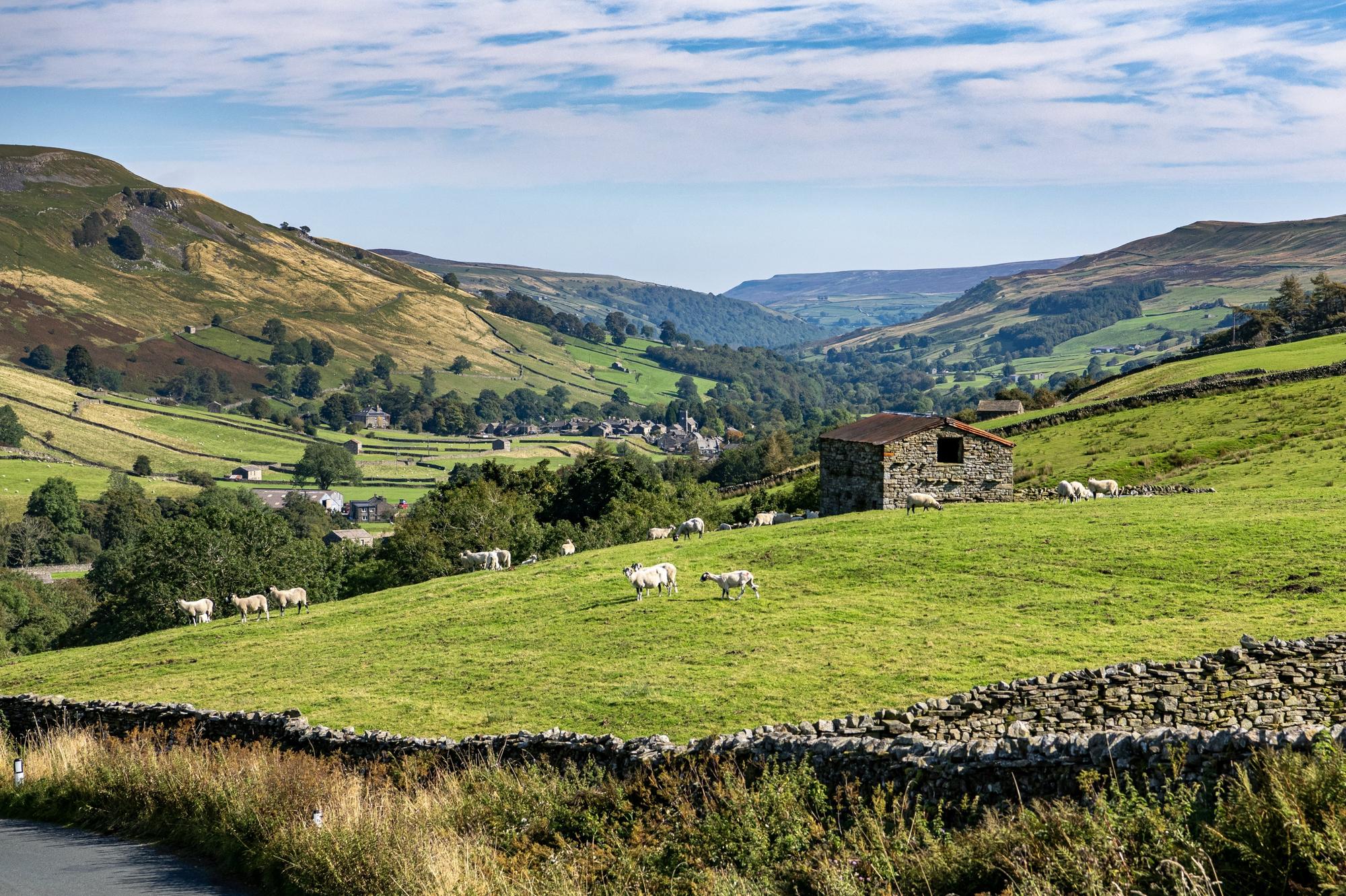 Rural housing crisis 'tearing communities apart', countryside charity warns