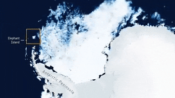 108 billion tons per year: Antarctica witnesses sudden rise in glacier ice