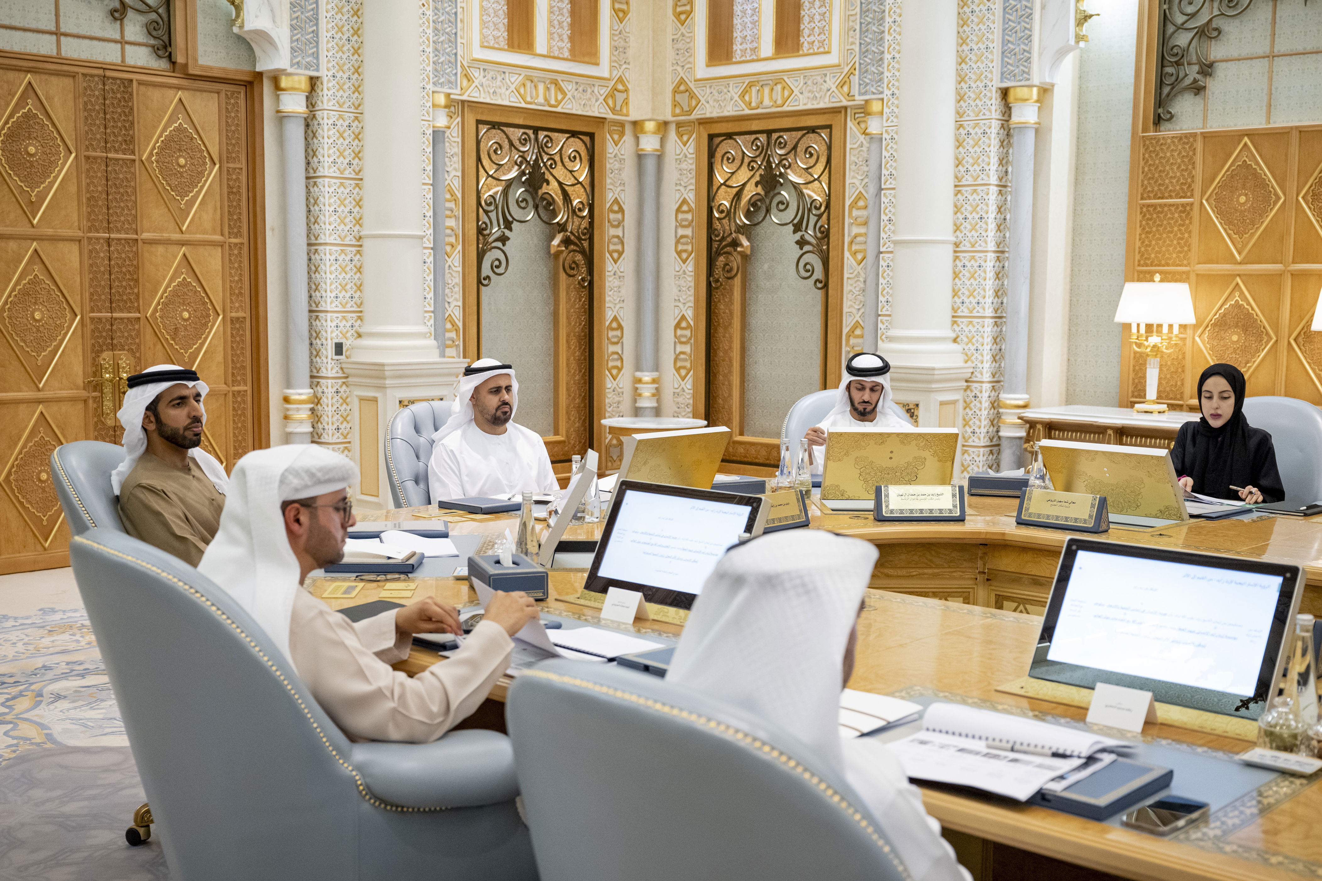 Erth Zayed Philanthropies Board of Trustees reviews 2024 achievements ...