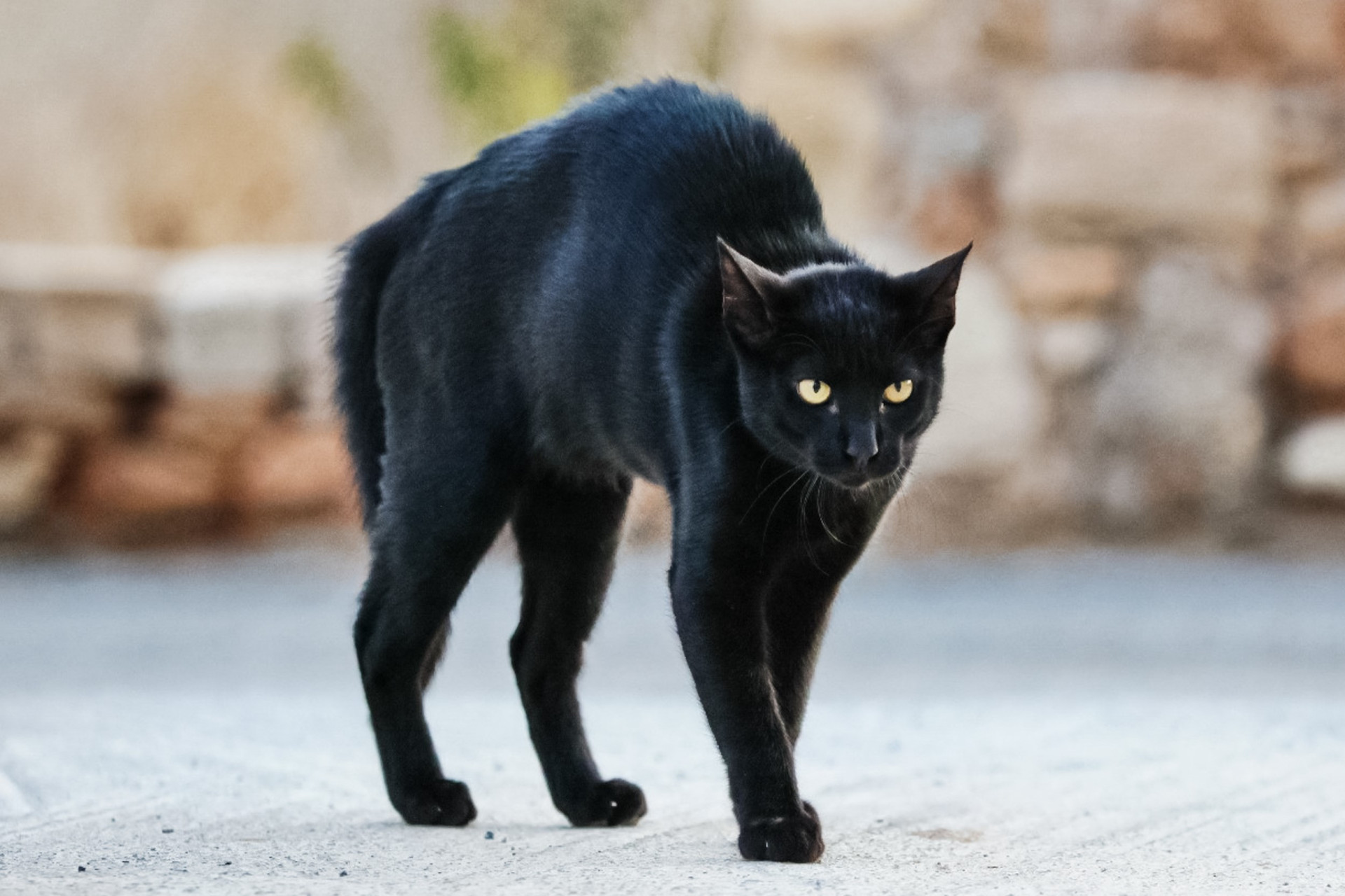 The most famous curses in soccer history